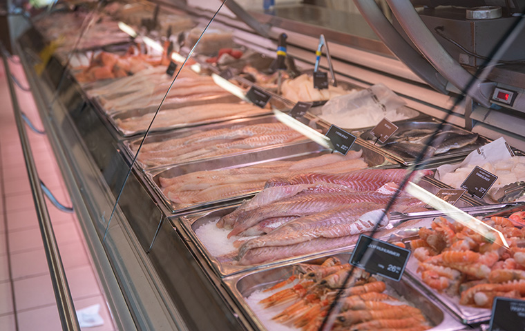 Her er Gunnar - Esmark Feriehusudlejning