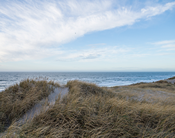 Sommerhusudlejning i Danmark | +2000 dejlige danske sommerhuse
