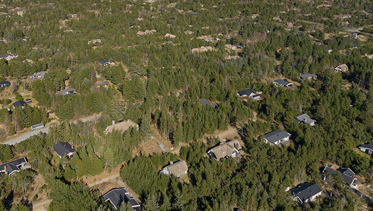 Vandrerute i Houstrup – naturskøn skov og plantage - Esmark ...