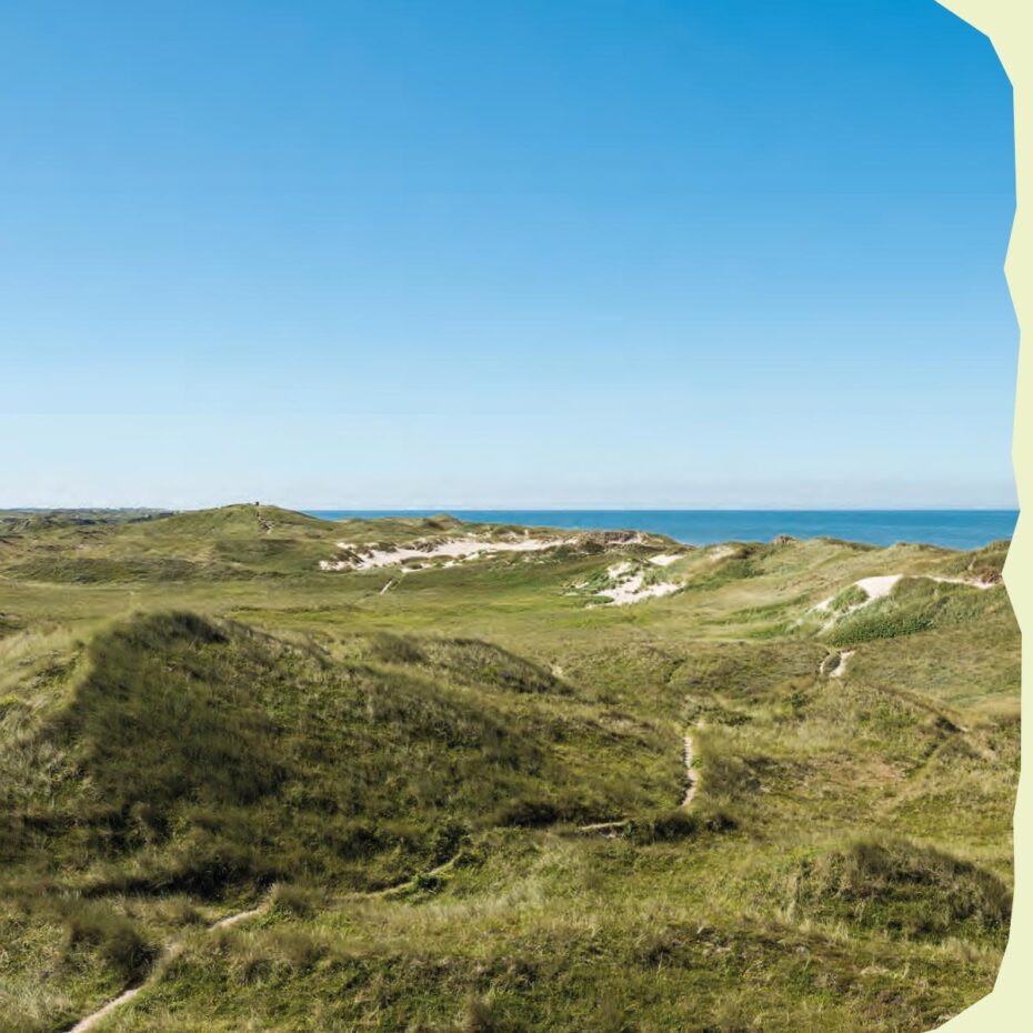 Fortschritt und Resultate 2022 - Esmark Ferienhausvermittlung