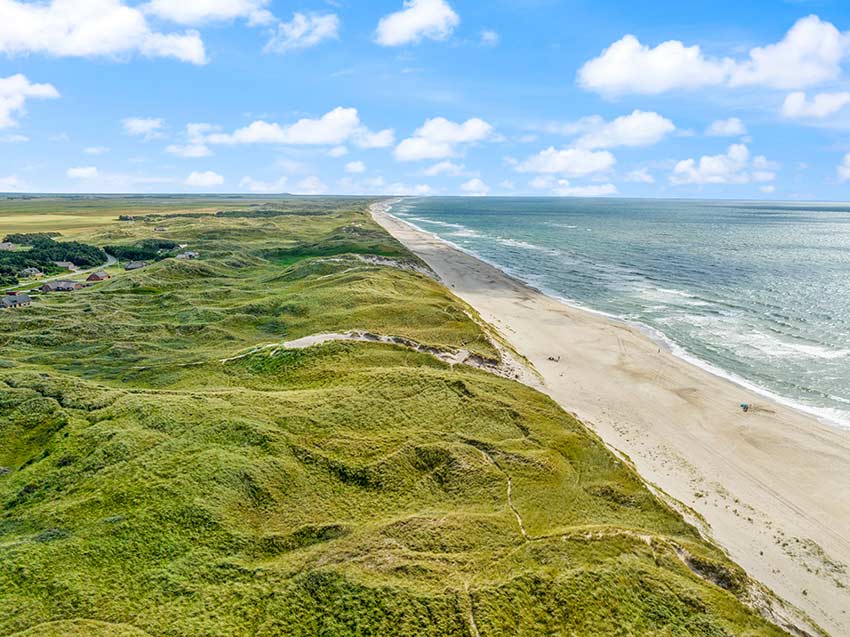 We love nature - Vær med til at beskytte naturen langs Vestkysten